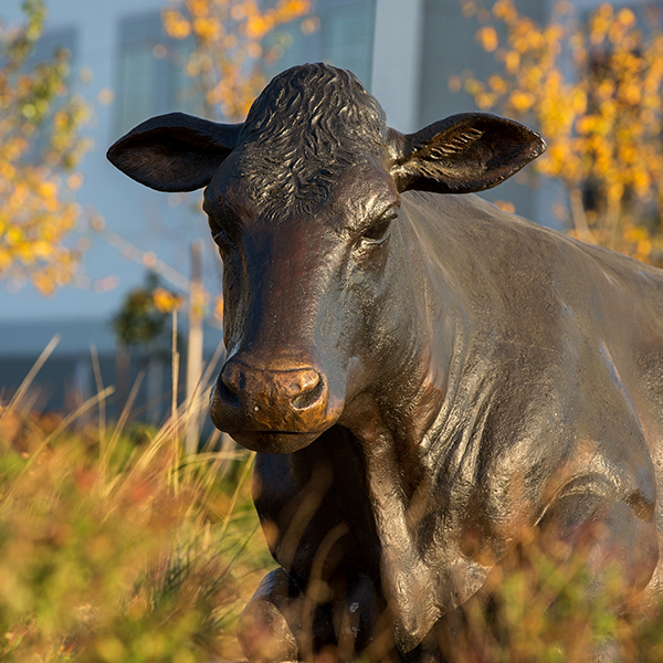 Watson Honors The City Of Chino’s Dairy Heritage - Watson Land Company